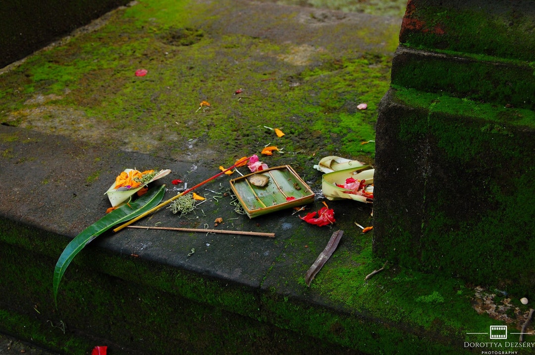Flower Sacrifice at the Temple Gate Giclée Art Print on Paper or Canvas ...