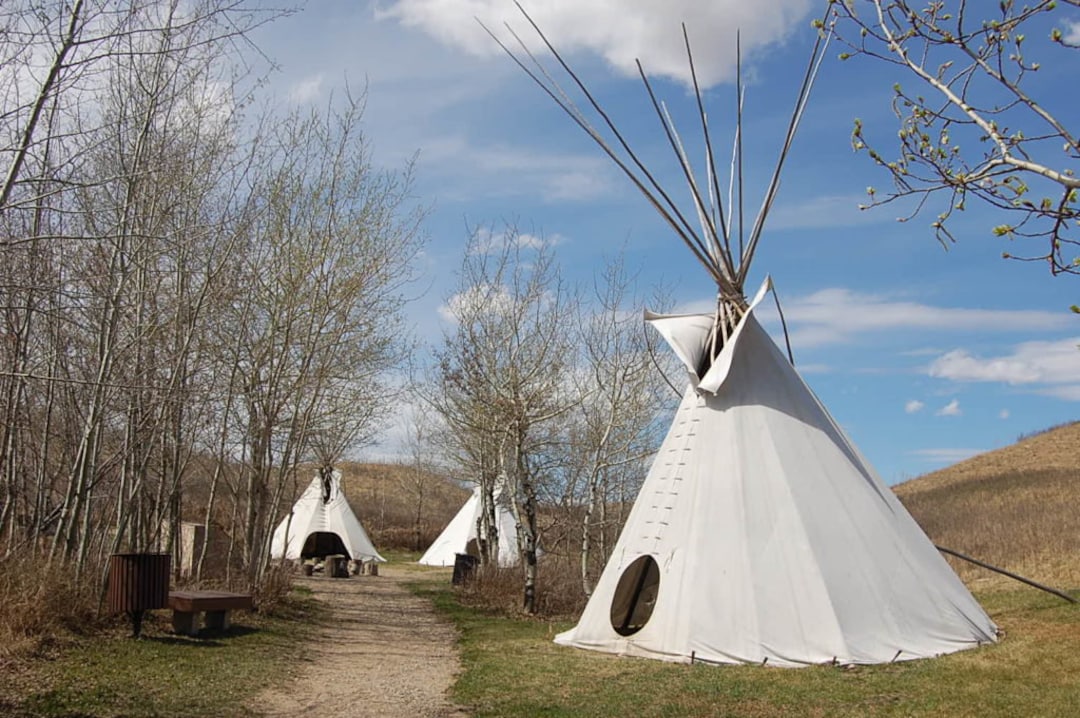 TIPI Fabric Mixed Cotton & Polyester 450 Gsm Water Repellent 3m - 10m ...