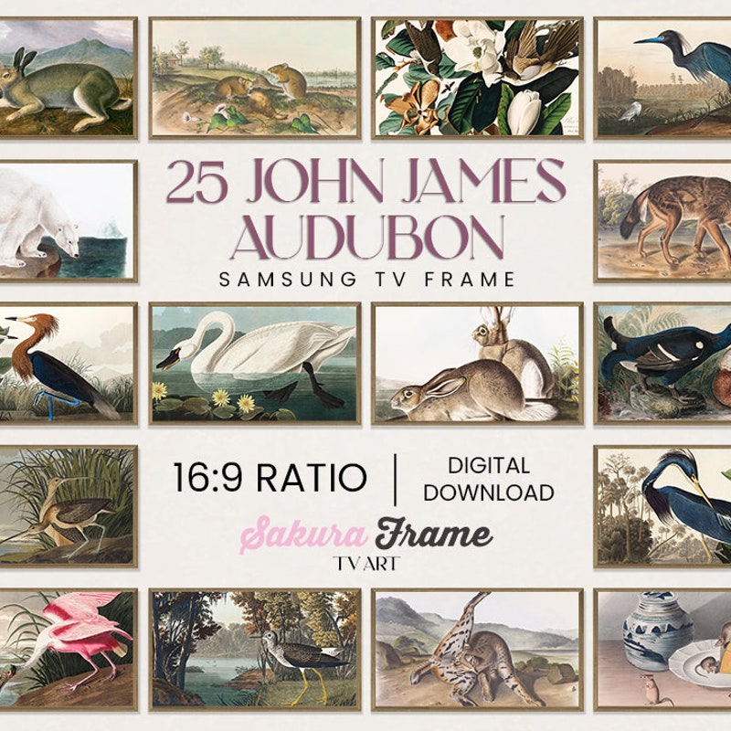 Audubon Prints Framed - Etsy