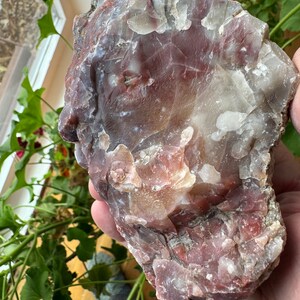 Rare Rough Pigeon Blood Agate ~1.5lbs! - Etsy