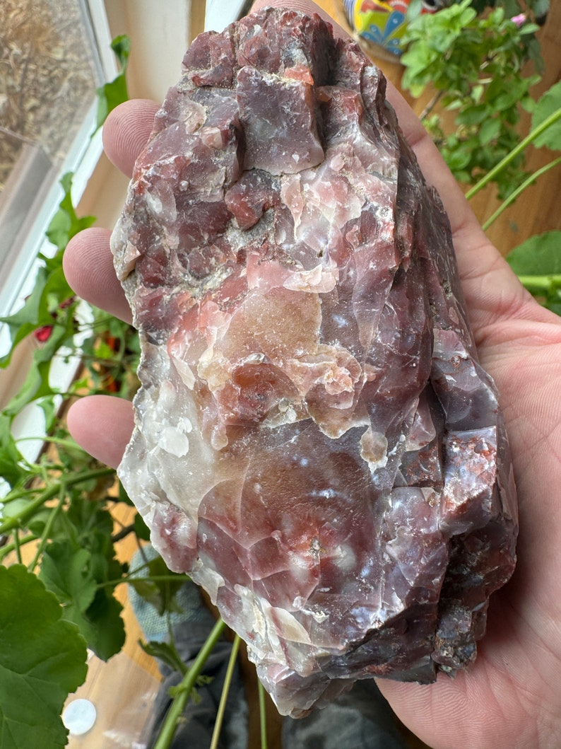 Rare Rough Pigeon Blood Agate ~1.5lbs! - Etsy