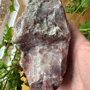 Rare Rough Pigeon Blood Agate ~1.5lbs! - Etsy