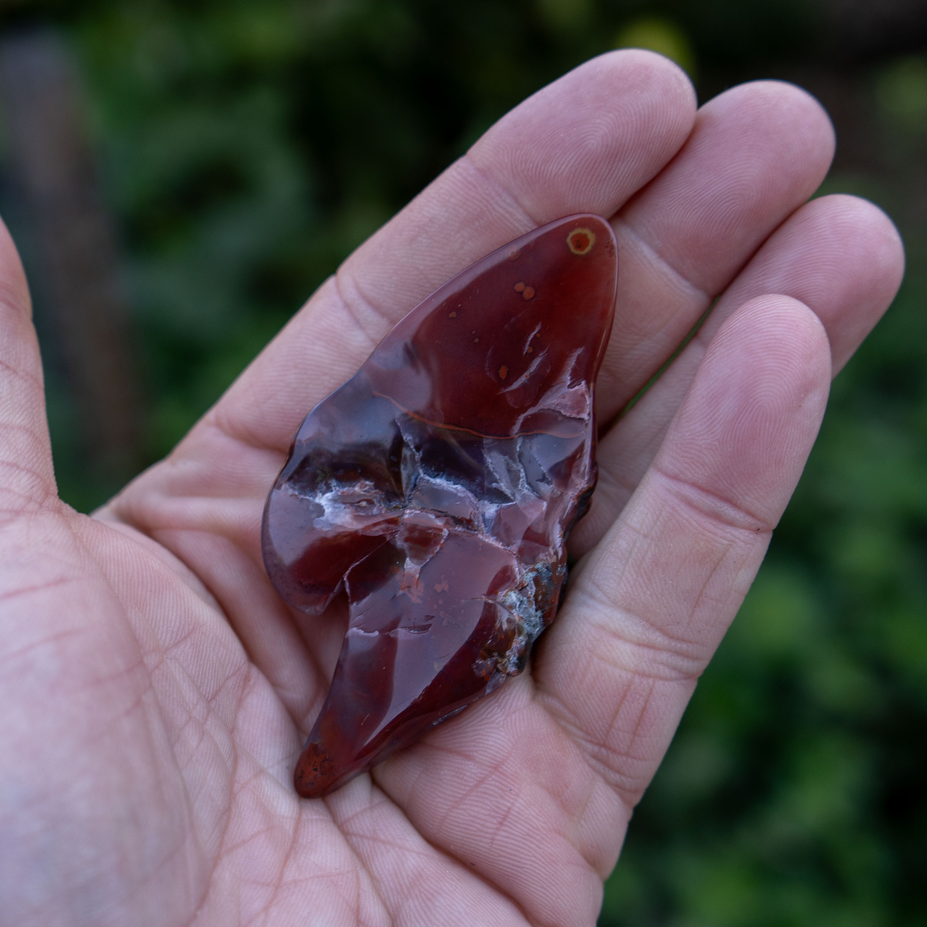 Rare Pigeon Blood Agate Polished Stone - Etsy