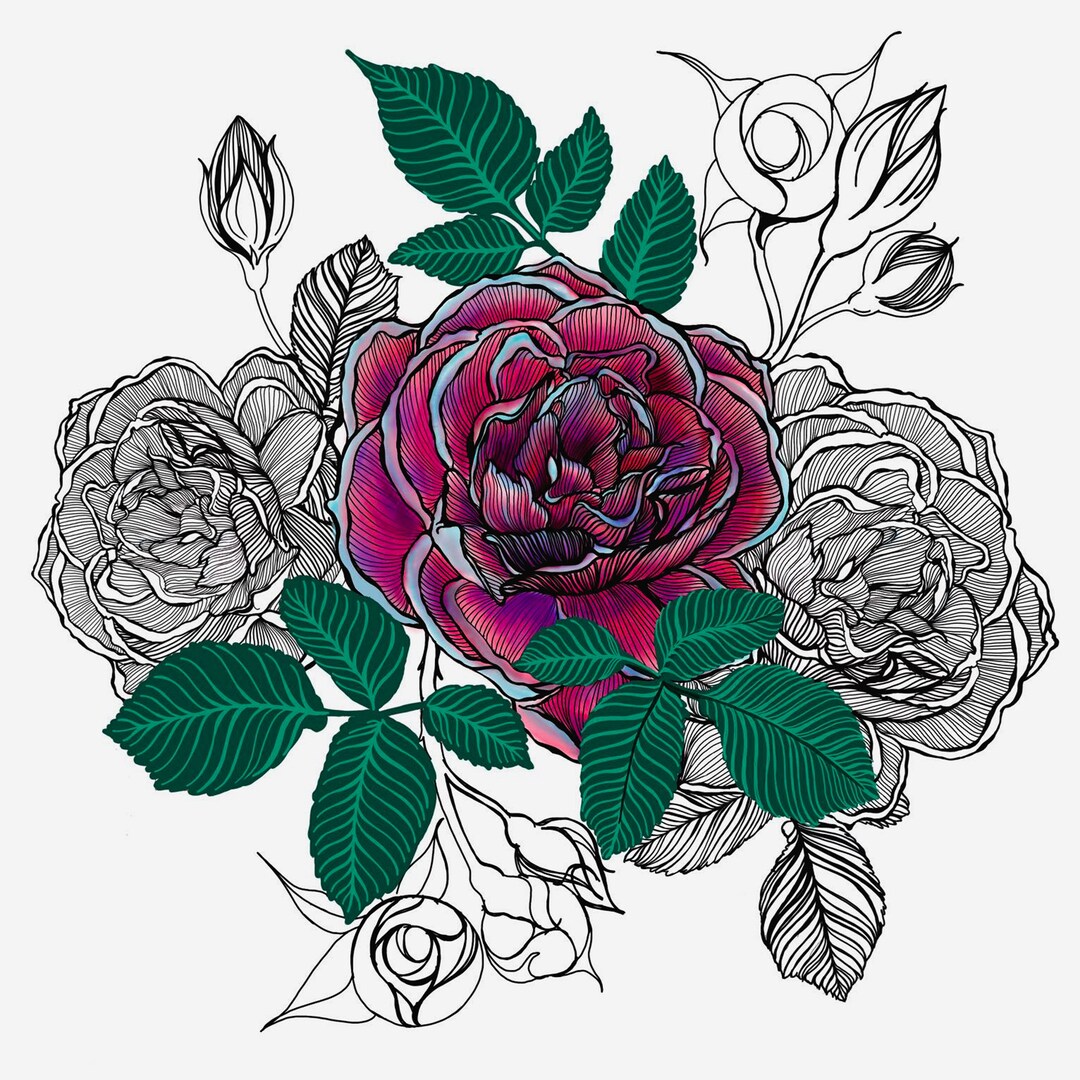 Rose Flowers Bossom Drawing Water Color - Etsy