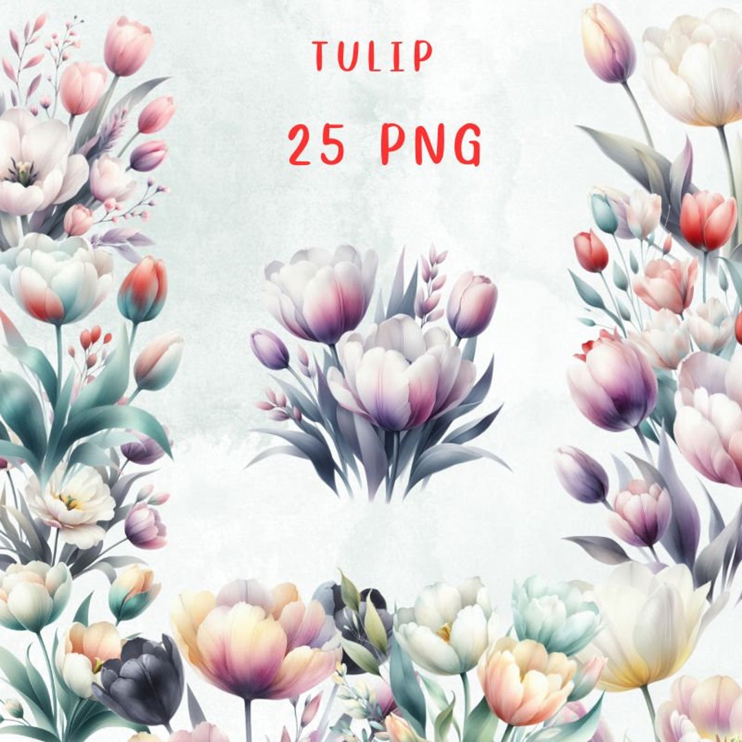 25 PNG Tulip Watercolor Clipart, Clipart Bundle, Spring Tulips, Floral ...