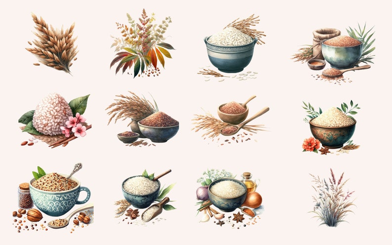 90 PNG Watercolor Rice Grain Clipart, Watercolor Food transparent ...