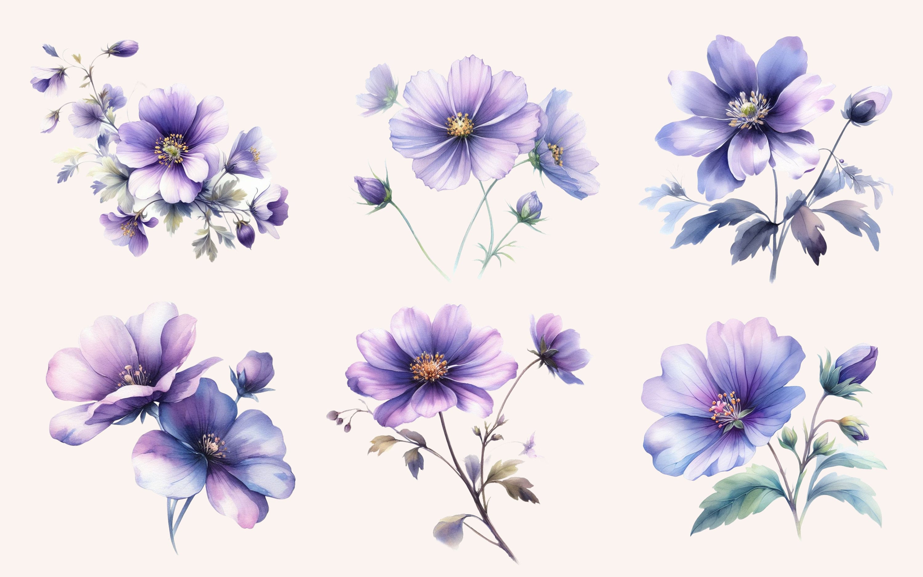 25 PNG Watercolor Purple Flowers Clipart, Clipart Bundle, Flowers ...