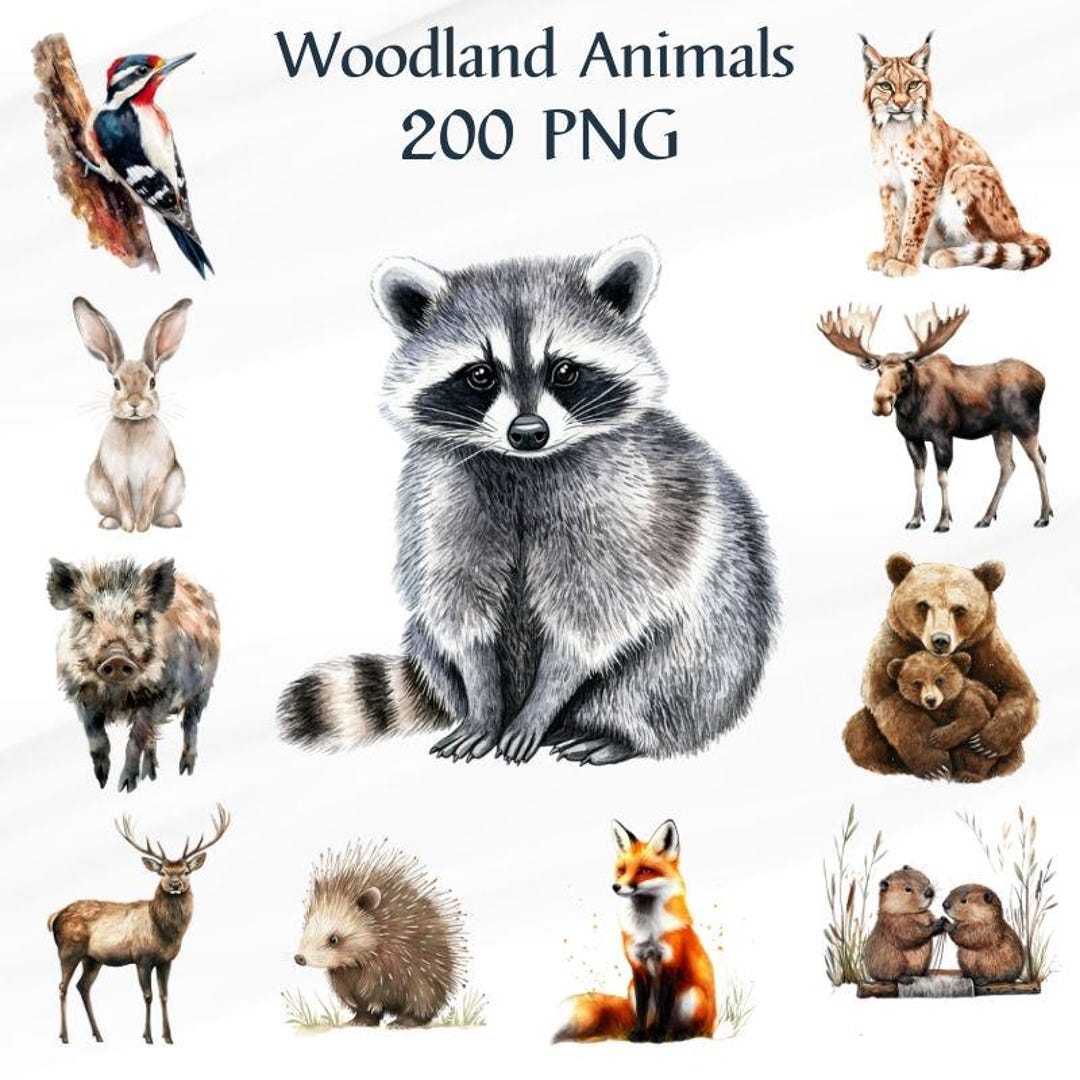 200 PNG Woodland Animals Clipart, Sublimation Design Download ...