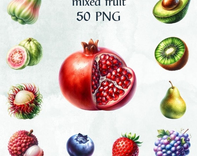 Fruits Clipart - Digital Clip Art - Fruit - Personal and Commercial Use ...