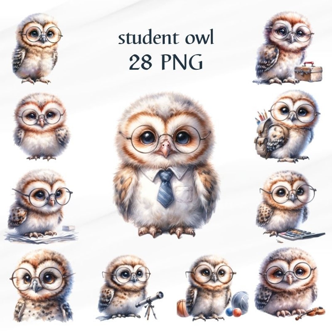 28 PNG Watercolor School Owl Clipart, Cute Owl, Clipart Bundle, Gift ...