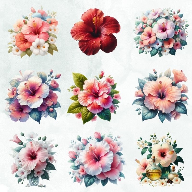 25 PNG Hibiscus Flowerclipart, Clipart Bundle, Flowers Clipart, Spring ...