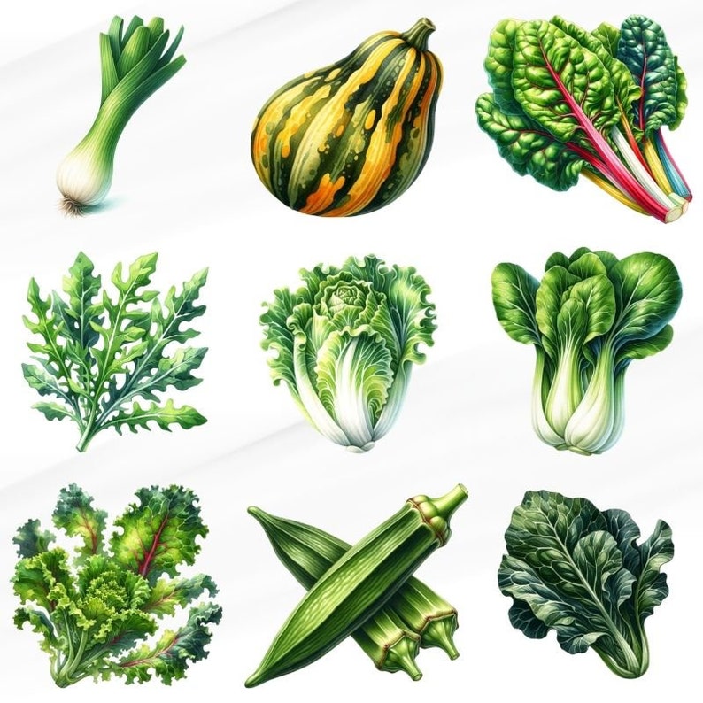 50 PNG Vegetable Cliparts, PNG Clipart, Collage, Card Making ...