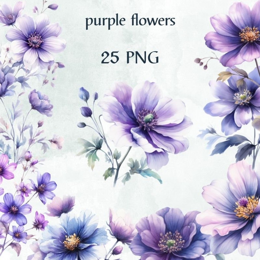 25 PNG Watercolor Purple Flowers Clipart, Clipart Bundle, Flowers ...