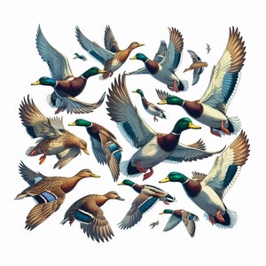 Duck Hunt, Funny Duck Hunting Sublimation, Shirt Design Download ...