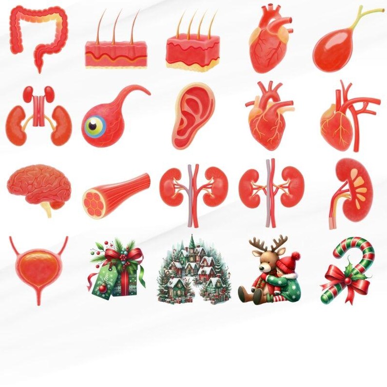 42 PNG Watercolor Human Organ Clipart , Human Organ Clipart, Biology ...
