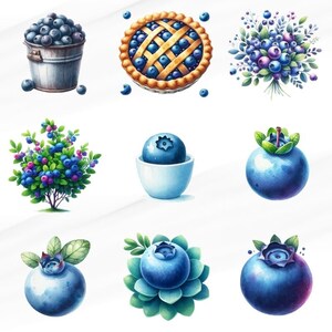 34 PNG Blueberry Berry Clipart , Fruits Bundle, Watercolor Blueberries ...