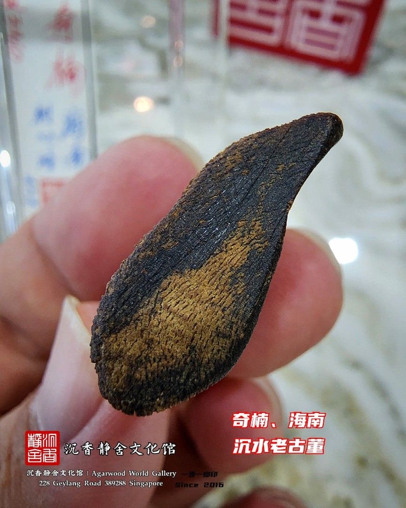 Kynam Antique Hainan Sinking 奇楠海南老古董 沉水 - Etsy