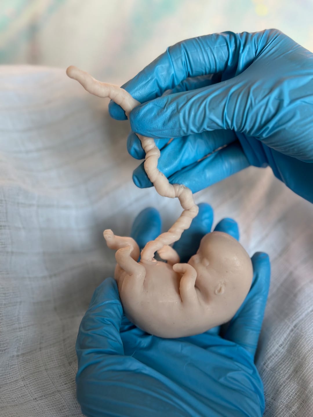 Fetus Embryo Blank Unpainted Kit Fullbody Silicone Baby Doll Reborn ...