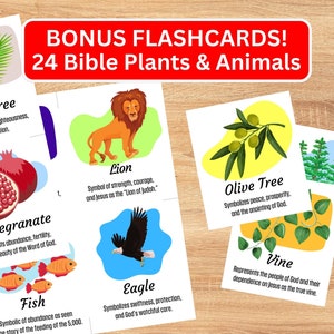 Bible Printable Flashcards for Kids - Fun Activity Study Cards for ...