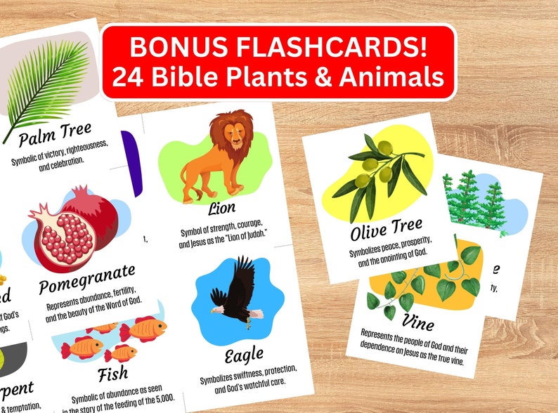 Bible Printable Flashcards for Kids - Fun Activity Study Cards for ...