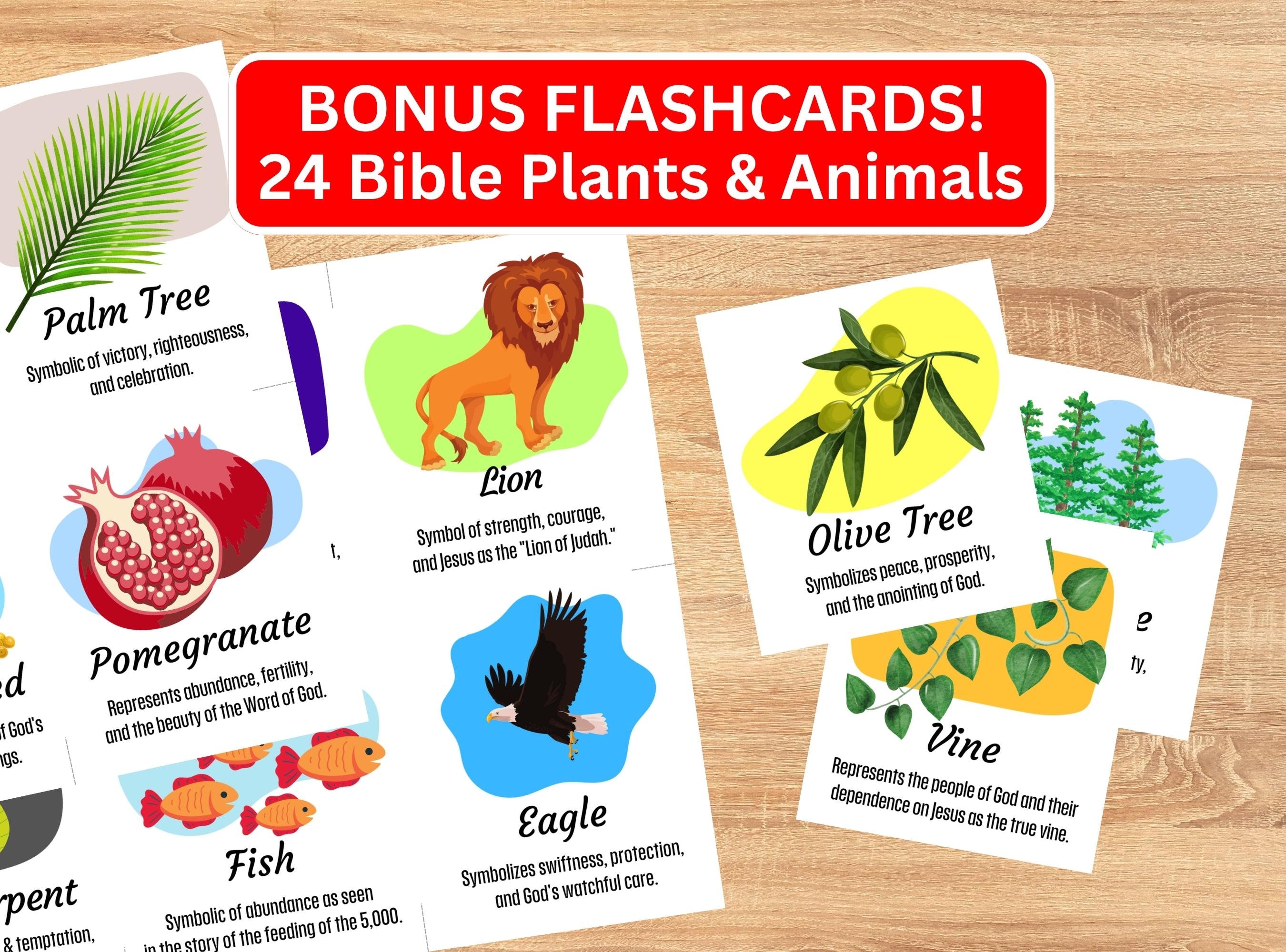 Bible Printable Flashcards for Kids - Fun Activity Study Cards for ...