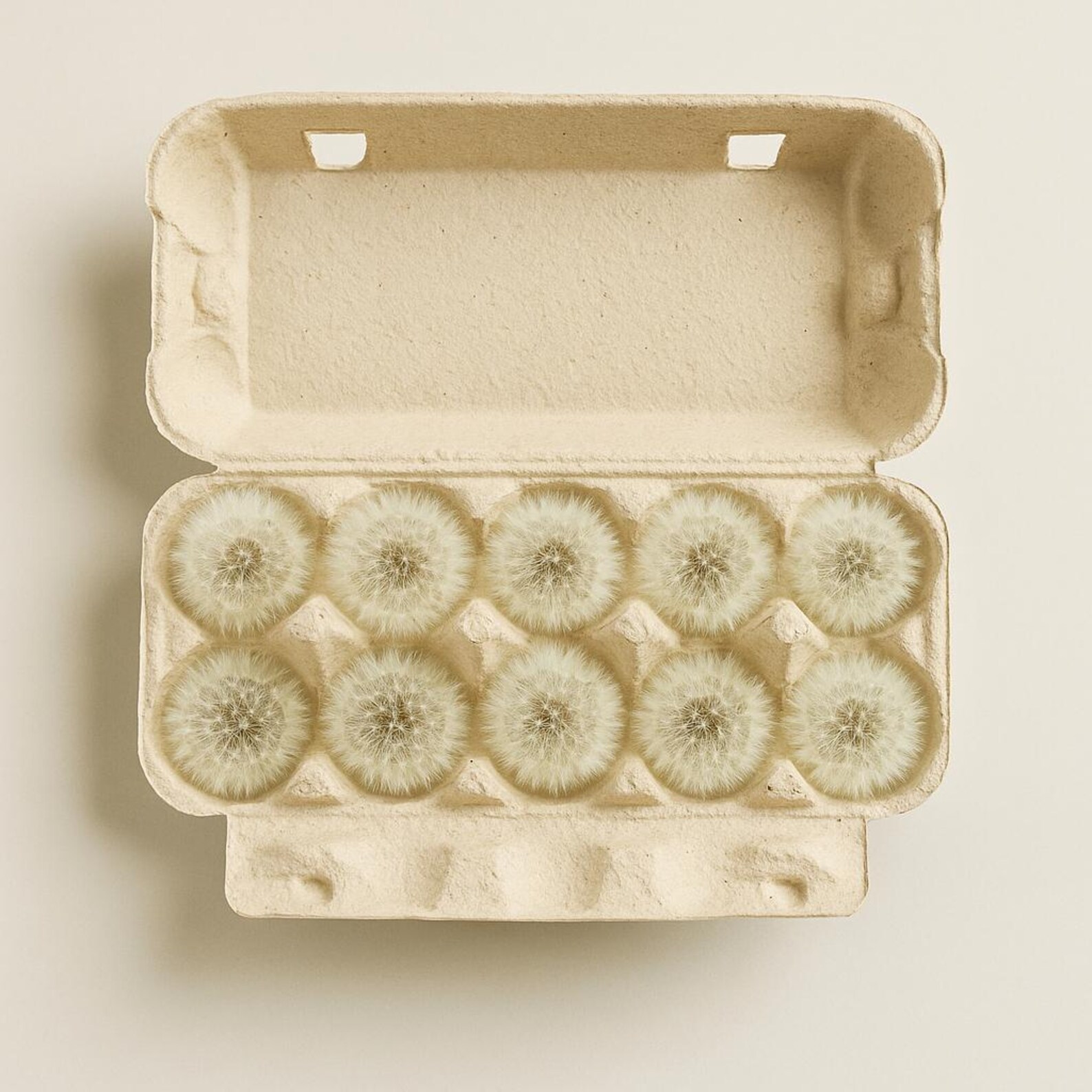 10 Dried Dandelion Mesch Heads | Real Flowers for Resin Art | Eco ...