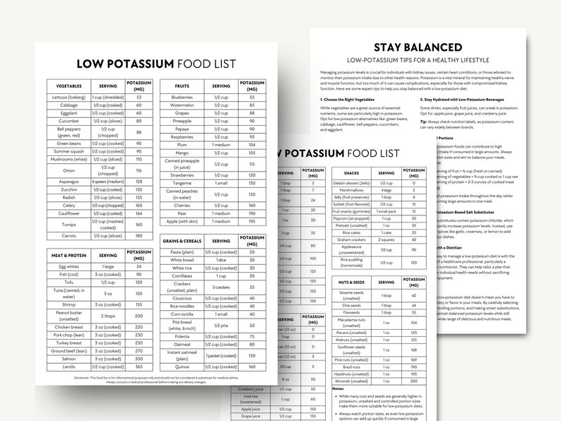 Low Potassium Food List PDF, Renal Diet Chart Printable, CKD Stage 4 ...