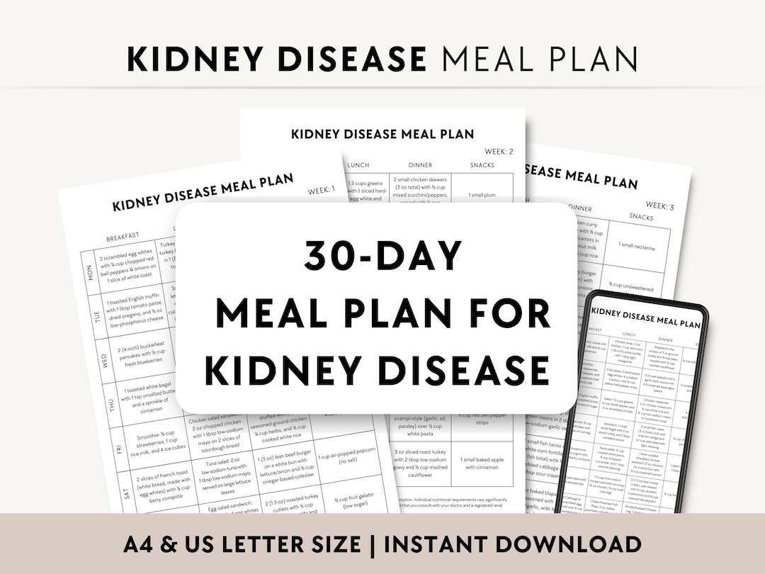 30-day Meal Plan for Kidney Disease PDF, Printable Renal Diet Menu, CKD ...