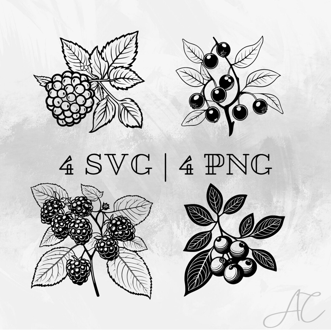 Berry SVG Bundle, PNG, Blueberry Clipart , Raspberry Vector, Hand Drawn ...
