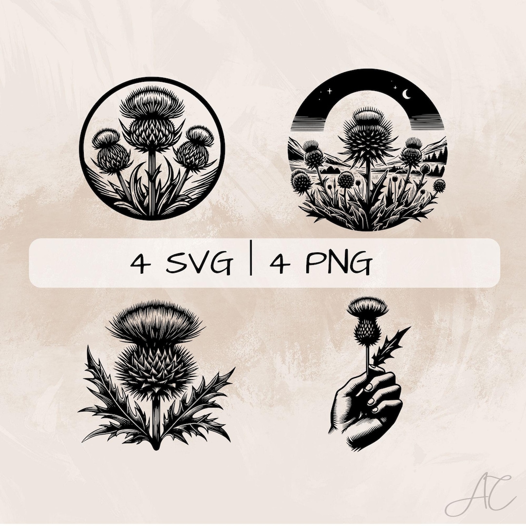 Scottish Thistle SVG Bundle, Thistle PNG ,scottish Clipart, Hand Drawn ...
