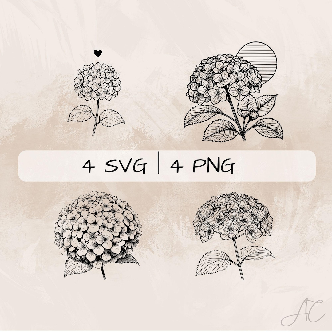 Delicae Hydrangea SVG Bundle, Hydrangea Line Art PNG, Hydrangea Flower ...