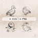 Call Duck SVG Bundle, Duck PNG, Cute Duck Clipart, Hand Drawn Call Duck ...