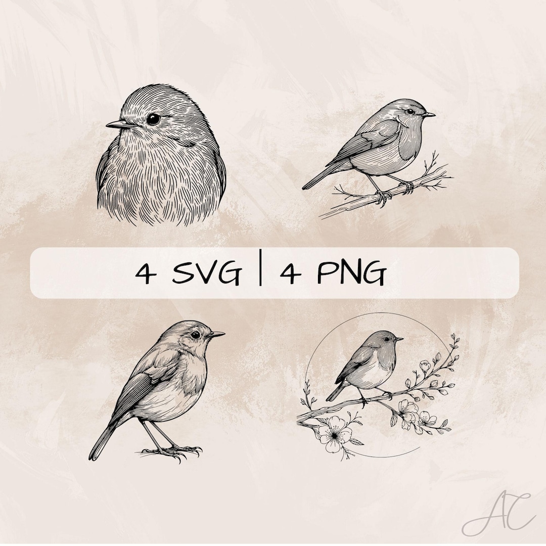 European Robin SVG Bundle, Robin Redbreast PNG, Robin Bird Clipart ...