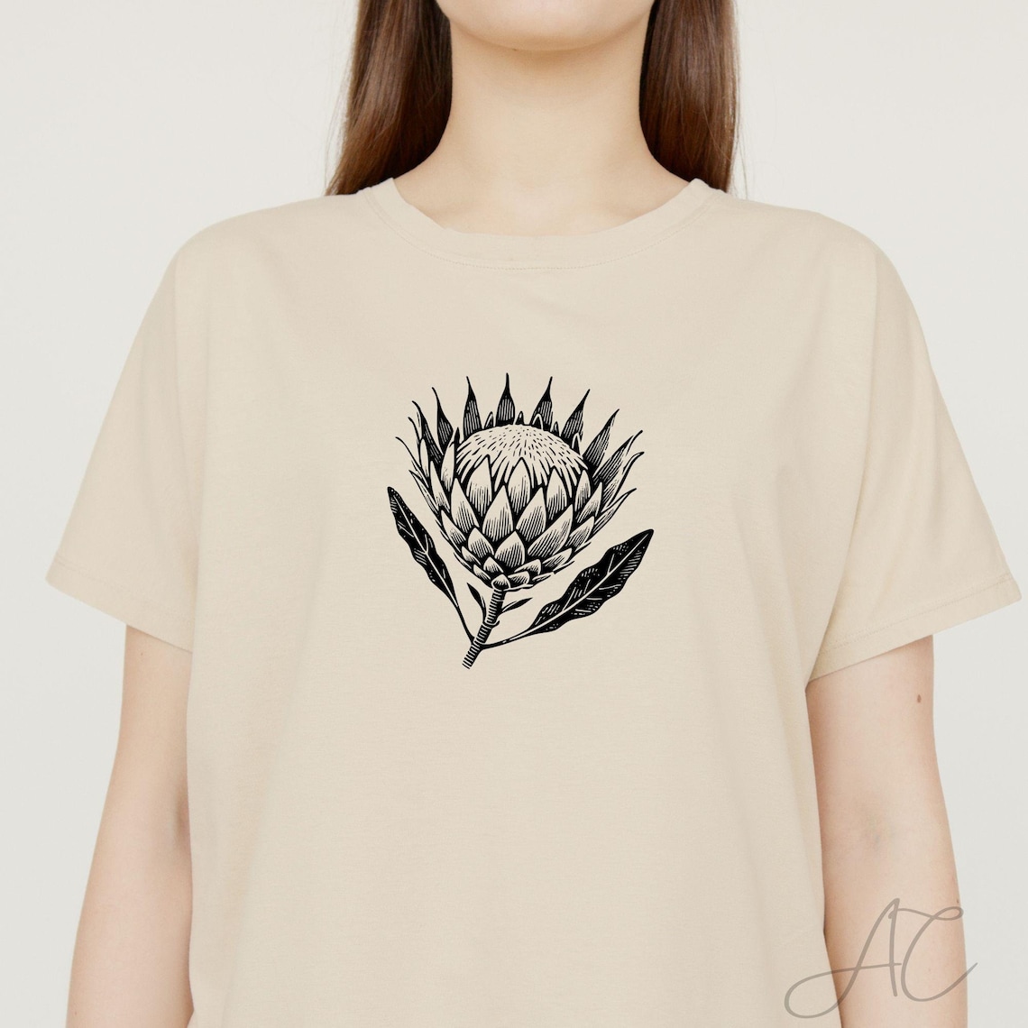 Protea SVG Bundle, Protea Flower PNG , Protea Clipart, Hand Drawn ...