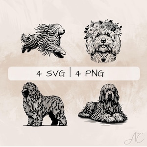 Komondor SVG Bundle, Mop Dog PNG, Hungarian Sheepdog Clipart, Hand ...