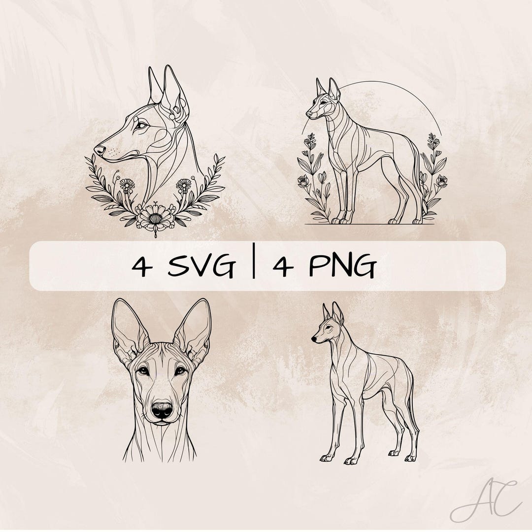 Pharaoh Hound SVG Bundle, Pharaoh Dog PNG, Maltese Dog Clipart, Hand ...