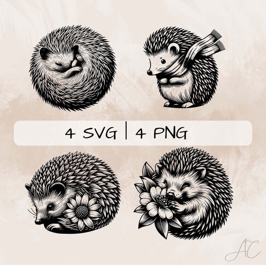 Hedgehog SVG Bundle, Sleeping Hedgehog PNG, Hedgehog With Flower ...