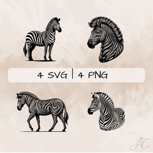 Zebra SVG Bundle, Zebra Head PNG, Realistic Zebra Clipart, Hand Drawn ...