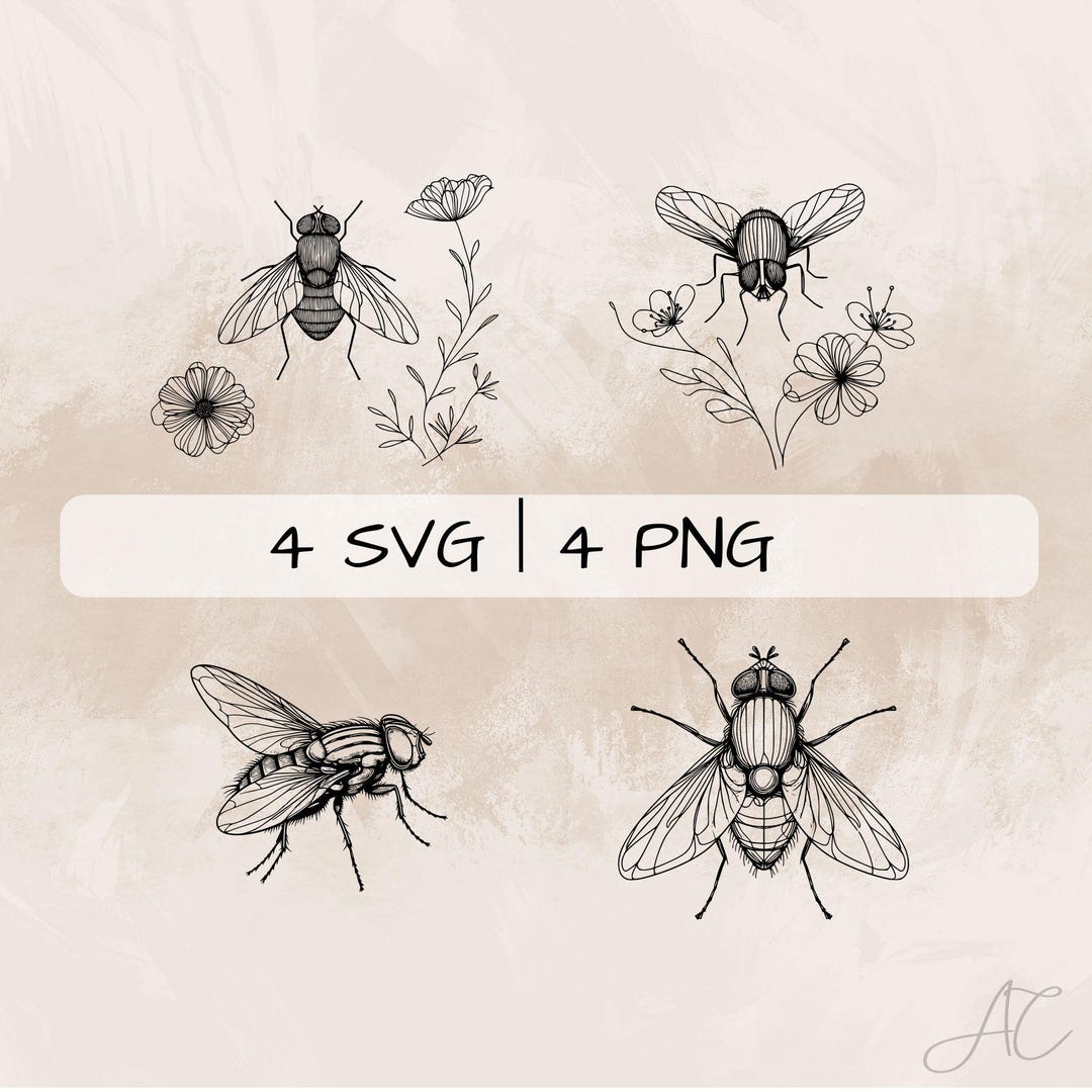 Fly SVG Bundle, Insect PNG ,fly Clipart, Hand Drawn Fly Pictures for ...