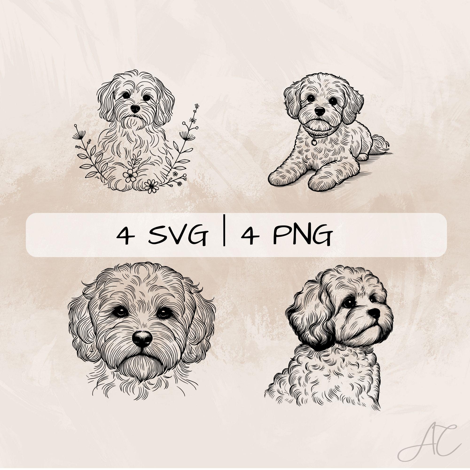 Cavachon Line Art SVG Bundle, Bichon Frise PNG, Cavalier King Charles ...