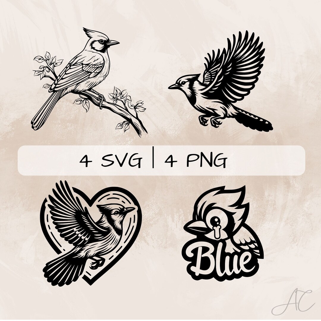 Blue Jay SVG Bundle, Flying Blue Jay PNG, Blue Jay and Heart Clipart ...