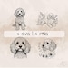 Delicate Cockapoo SVG Bundle, Cockapoo Line Art PNG, Cockapoo and ...
