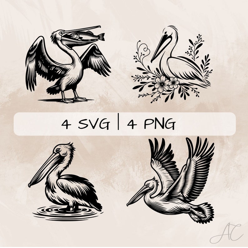 Pelican SVG Bundle, Pelican and Fish PNG, Pelican With Flowers Clipart ...