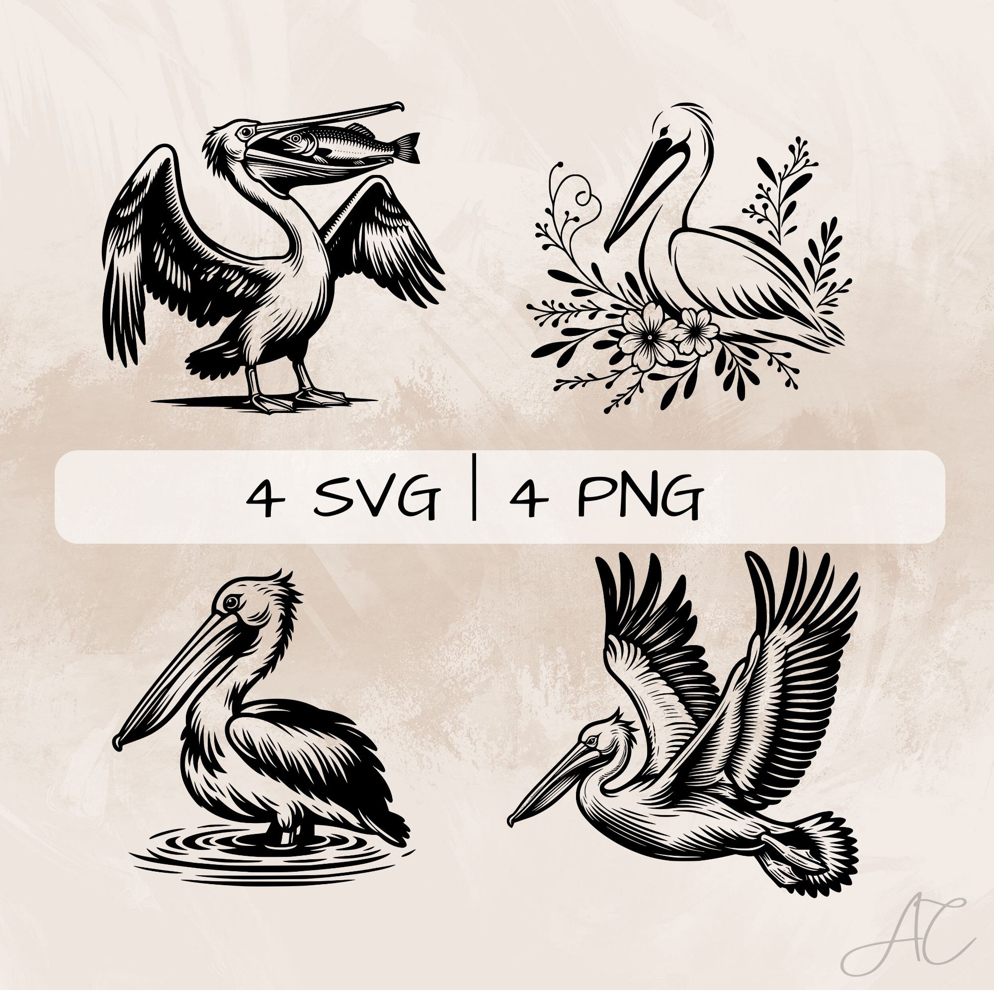 Pelican SVG Bundle, Pelican and Fish PNG, Pelican With Flowers Clipart ...