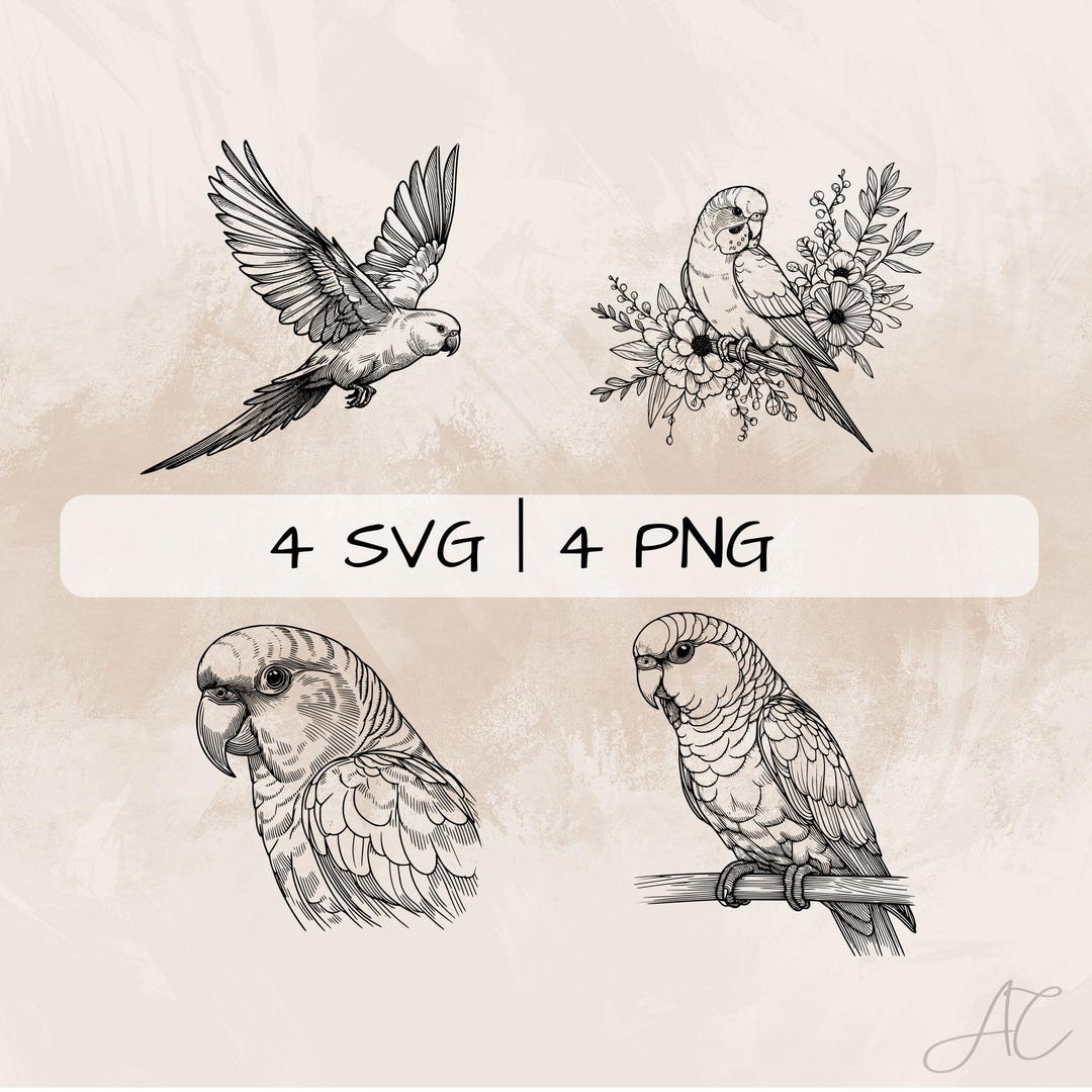 Delicate Conure SVG Bundle, Conure Line Art PNG, Floral Conure Clipart ...