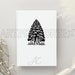 Sequoia Tree SVG Bundle, Redwood Tree With Swing PNG, Sequoia Tree ...