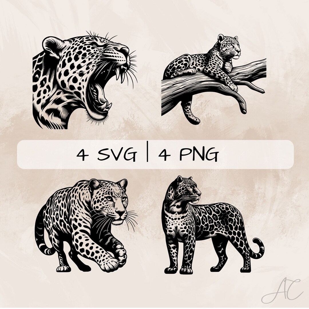 Leopard SVG Bundle, Leopard Growling PNG, Leopard on Branch Clipart ...