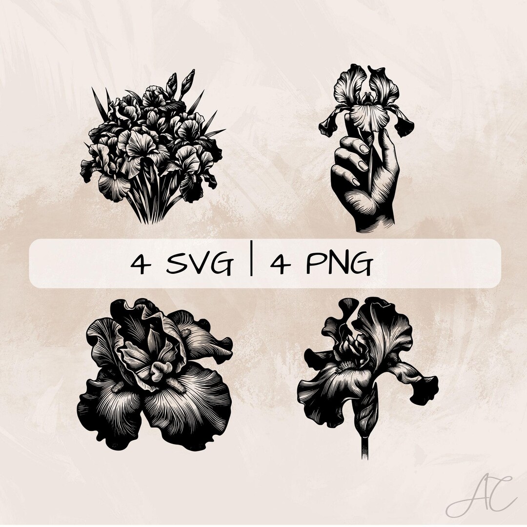 Iris Flower SVG Bundle, Iris Flower Bouquet PNG , Iris Flower in Hand ...