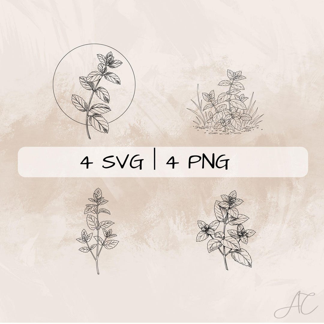 Mint SVG Bundle, Mint Plant PNG , Mint Leaf Clipart, Hand Drawn Mint ...