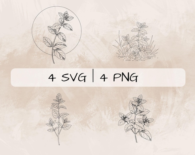 Mint Leaf SVG and PNG, Botanical Hand Drawn Apothecary Elements, Herb ...
